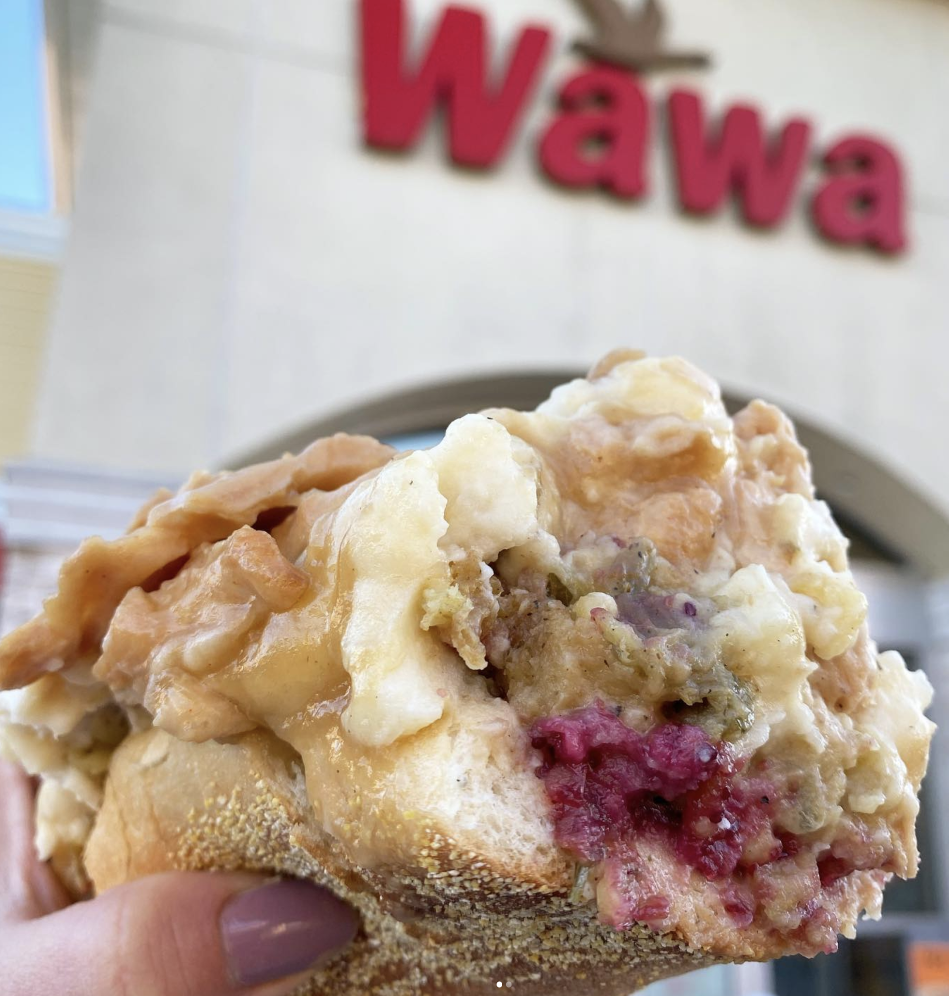 12 Best Wawa Sandwiches to Order